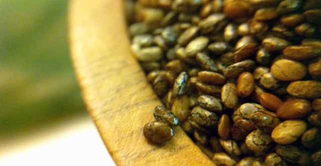 Choose Chia Seeds for Extra Antioxidants and Energy