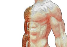 Stay Hydrated to Stop Muscle Cramps