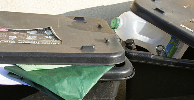 The Ultimate Guide to Going Green in 2014