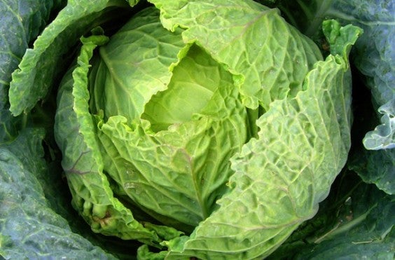 The Best Winter Fruits and Winter Vegetables: Stay Fresh This Winter