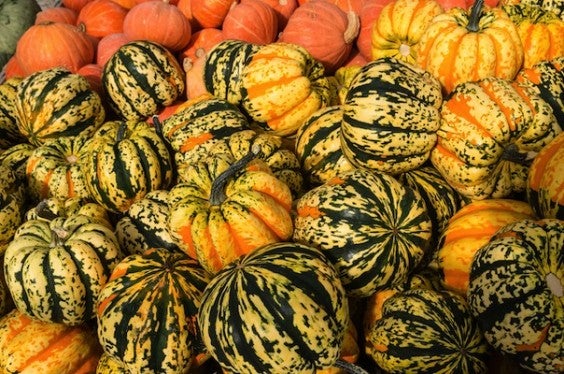 The Best Winter Fruits and Winter Vegetables: Stay Fresh This Winter