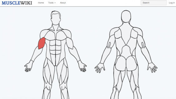 This Cool Website Tells You Exactly How to Work Any Muscle