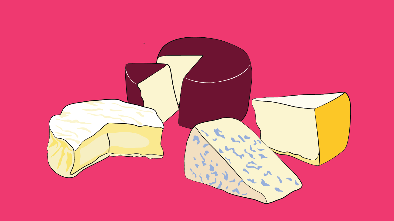 A Complete Beginner’s Guide to Cheese