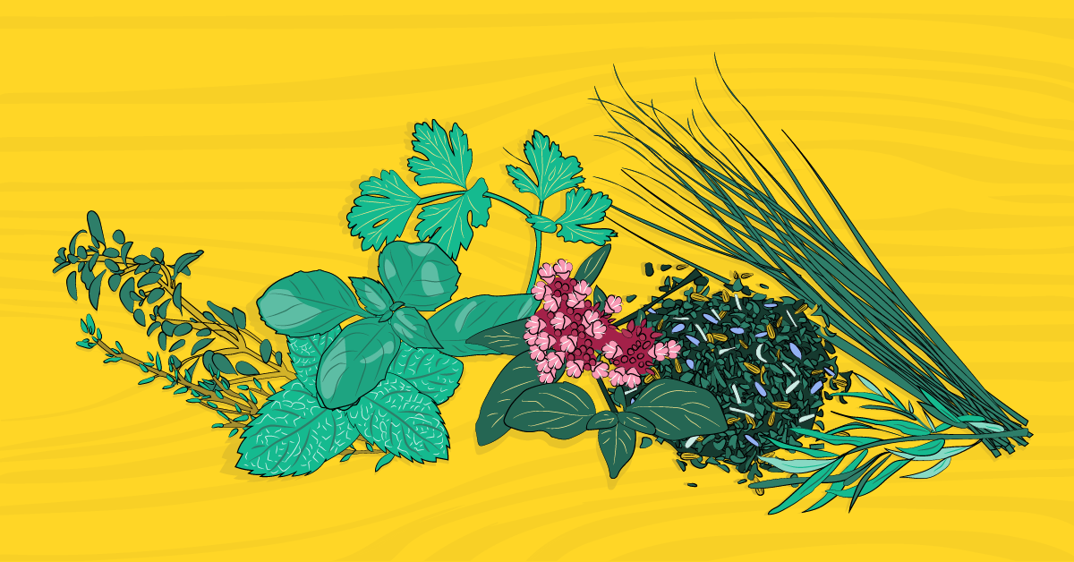 Fresh Herbs: How to Choose and Use Them Best