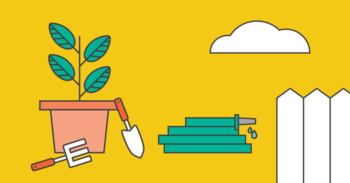 Gardening 101: A Beginner's Guide To Gardening