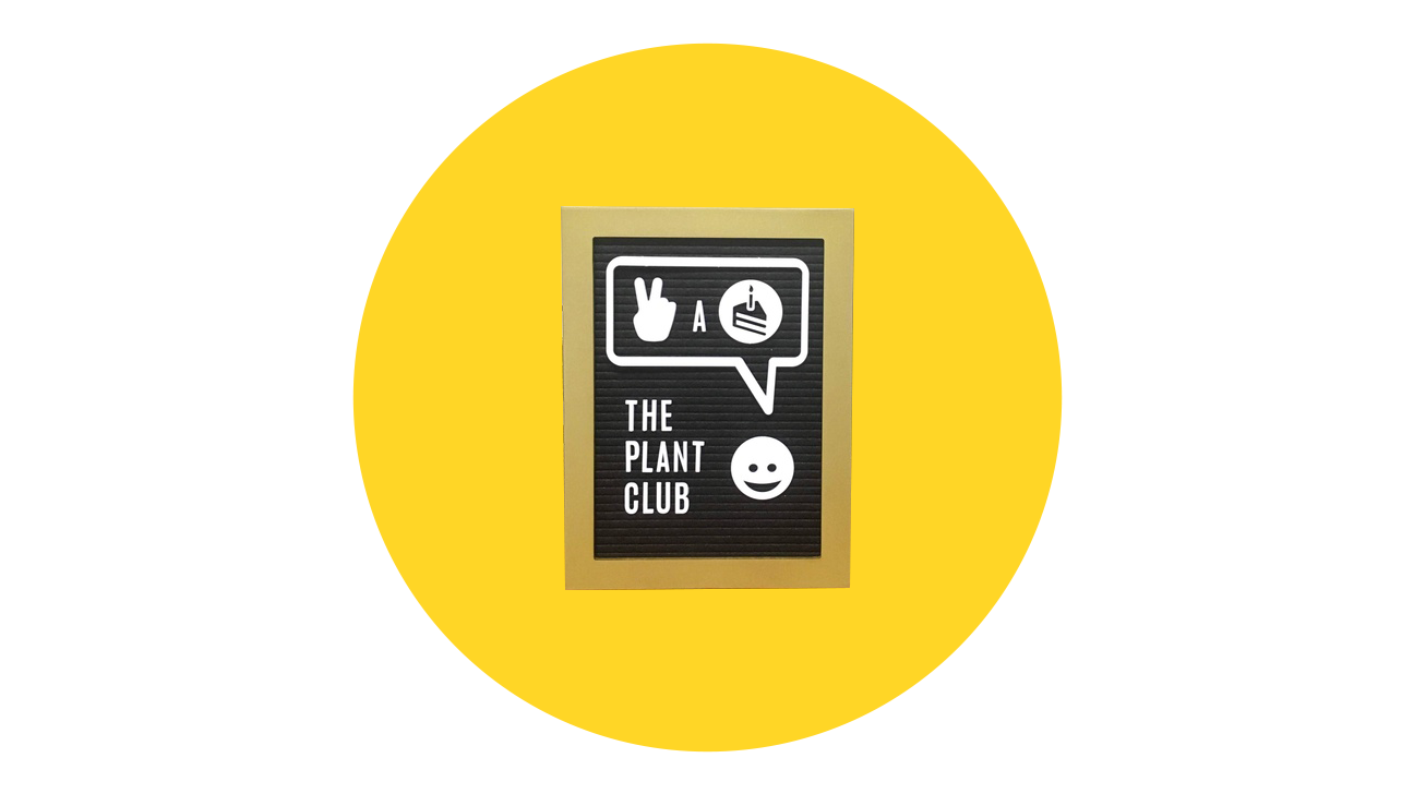 13 Plants Delivery Services That Order Straight to Your Door Step