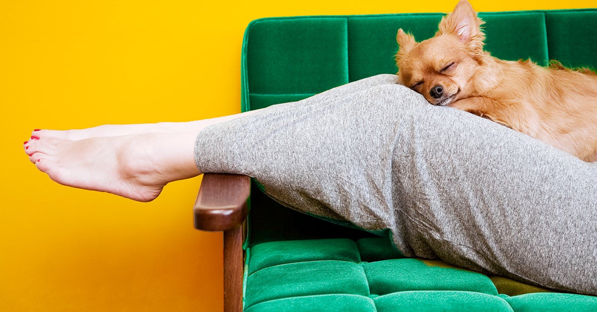 Psoriatic Arthritis and Pets: Benefits and Considerations