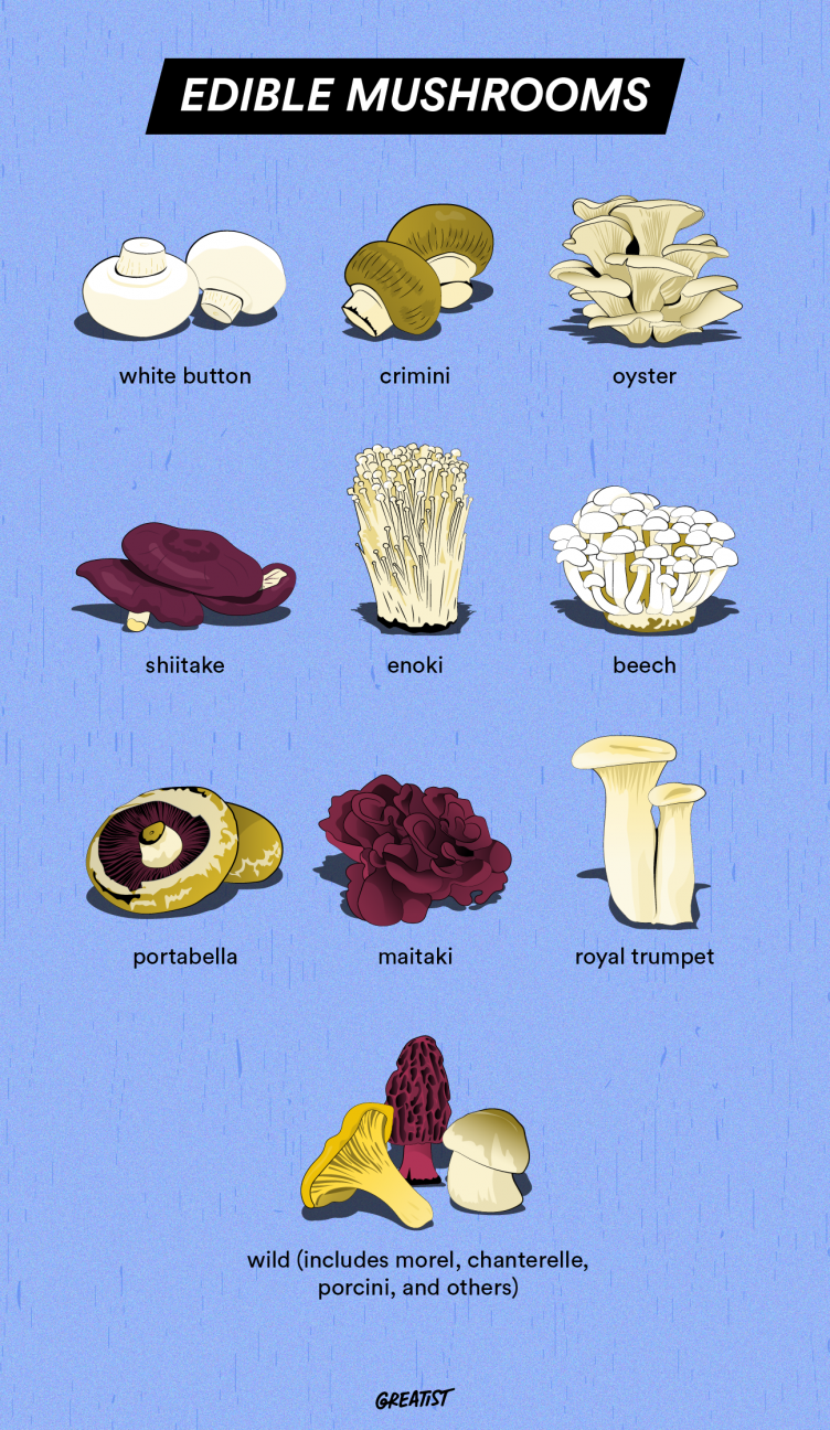 Edible Mushrooms: 10 Delicious Varieties to Try