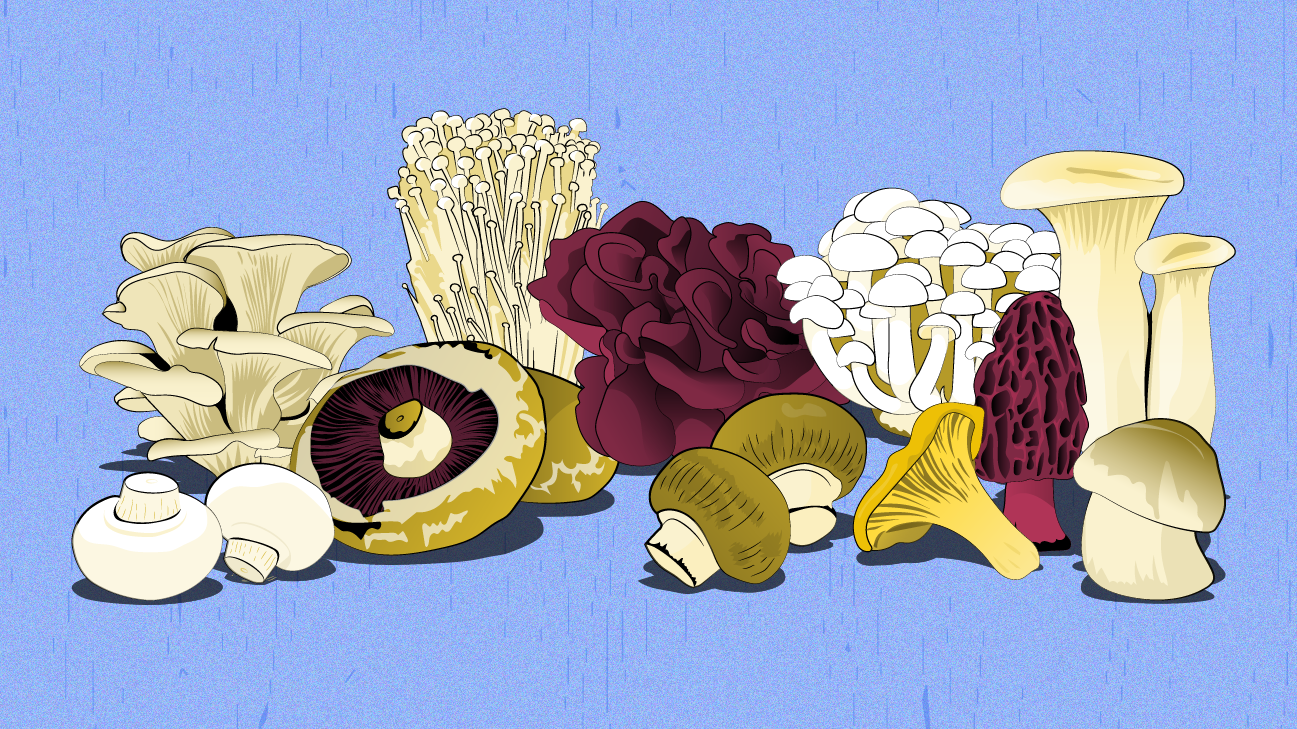 Edible Mushrooms: 10 Delicious Varieties to Try