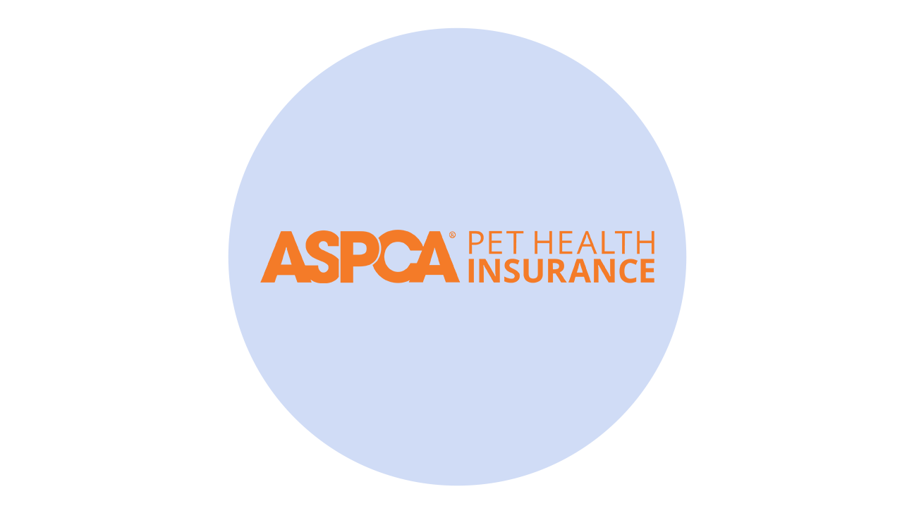 9 Best Pet Insurance Companies for 2022