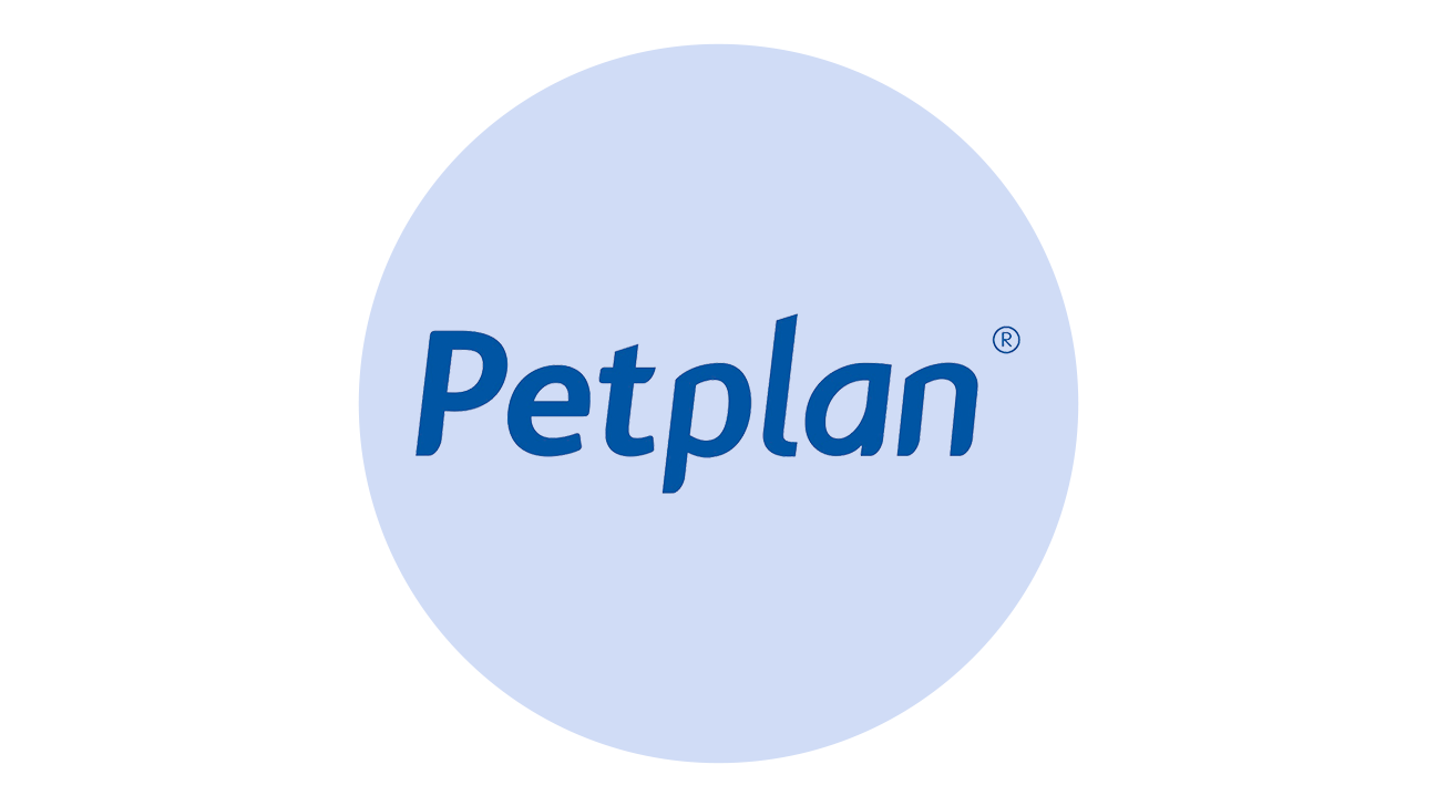 9 Best Pet Insurance Companies for 2022