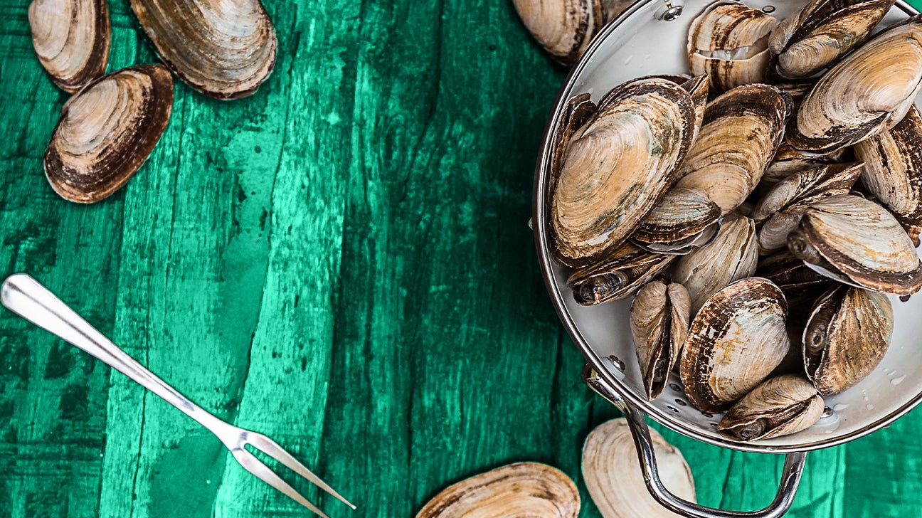 How to Clean Clams: Instructions, Video, and Recipes