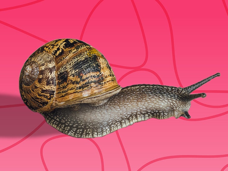 Snail Skin Care: Why It's Growing in Popularity