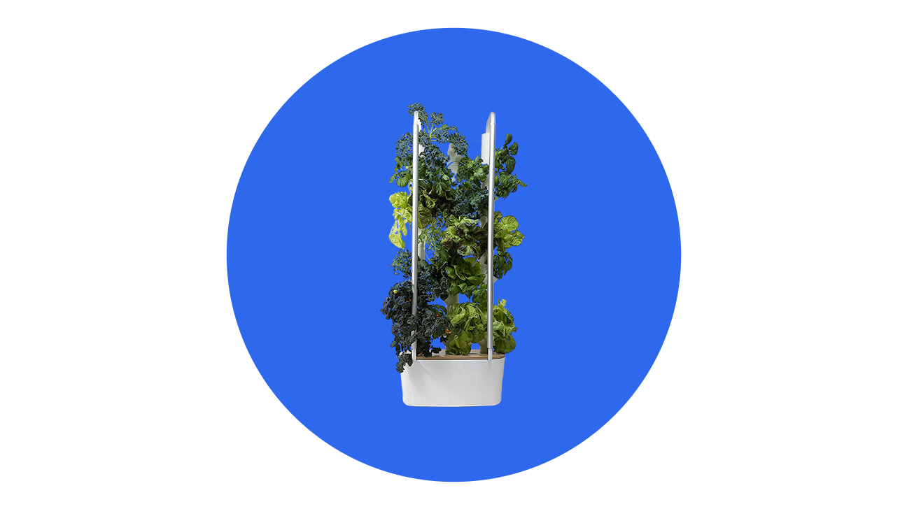 Indoor Garden Kit 101: Info and Recommendations