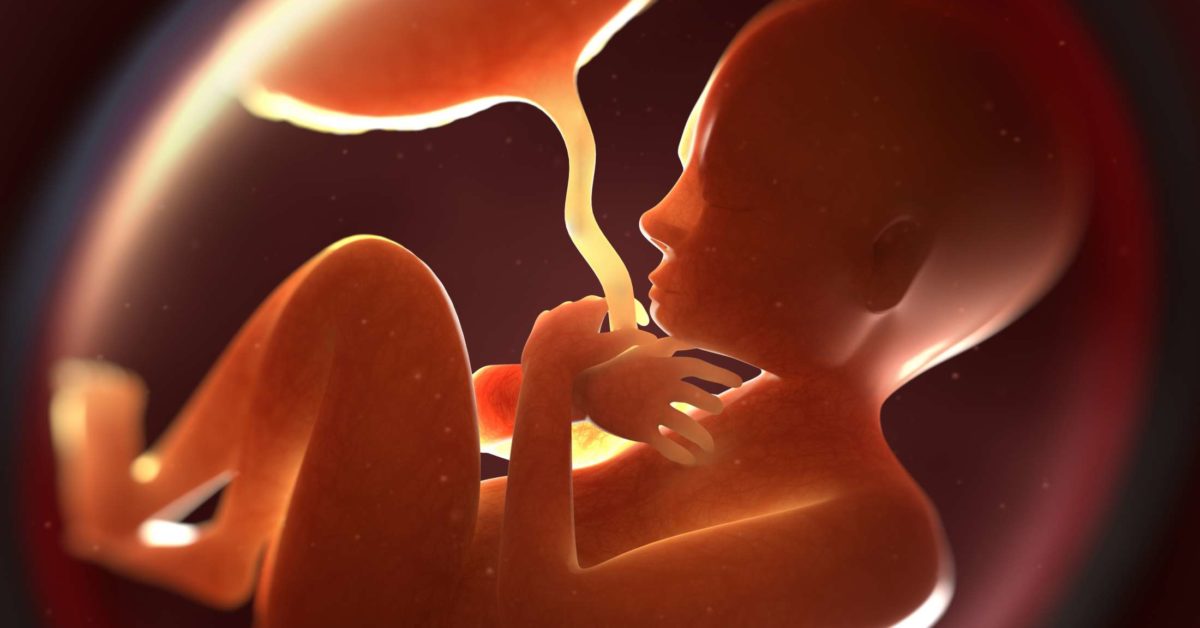 What disorders can affect the placenta during pregnancy?