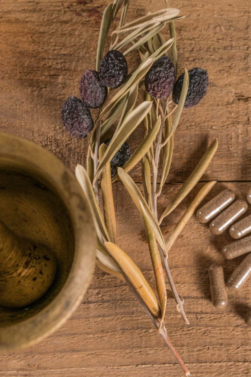 Olive leaf extract: Health benefits, dosage, and side effects